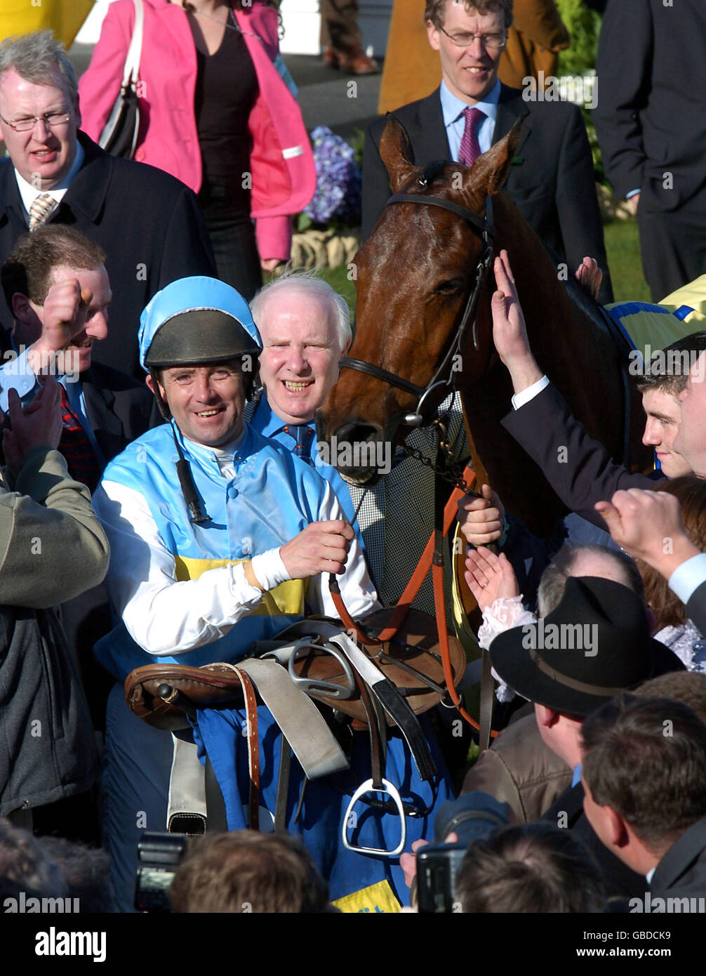 Horse Racing - Cheltenham Festival Stock Photo - Alamy