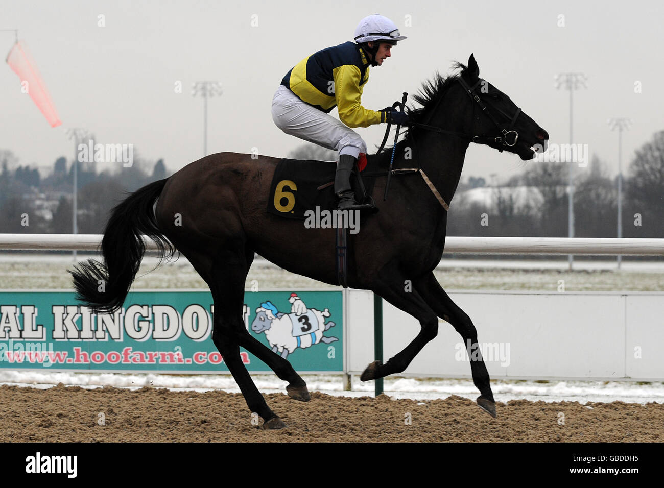 Horse Racing - Wolverhampton Racecourse Stock Photo - Alamy