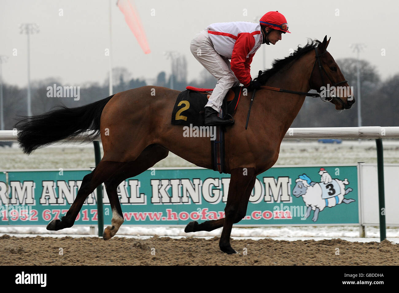 Horse Racing - Wolverhampton Racecourse Stock Photo - Alamy