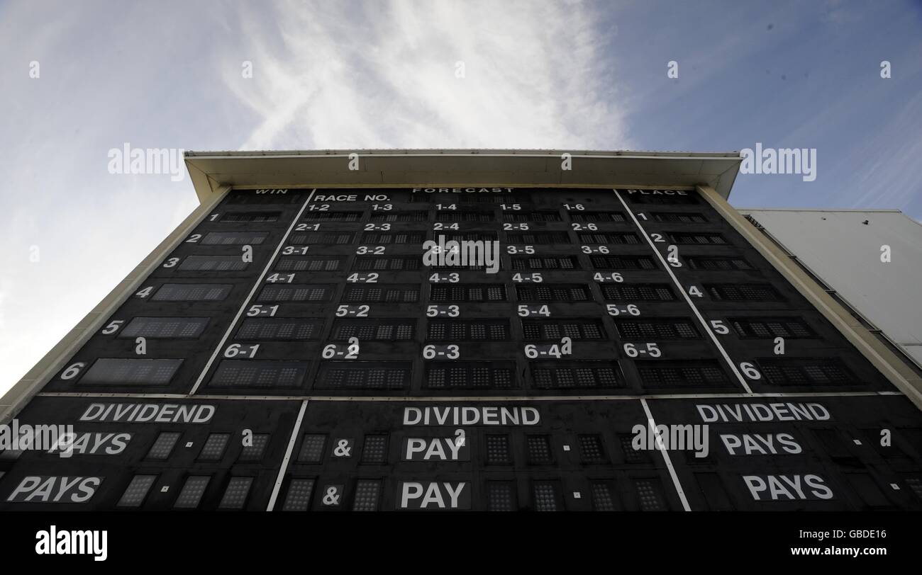 Greyhound Racing - Brighton and Hove Greyhound Stadium. The giant ...