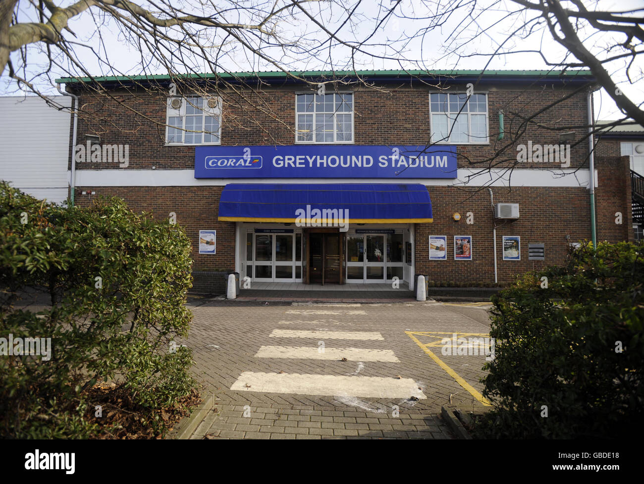 Greyhound Racing - Brighton and Hove Greyhound Stadium Stock Photo - Alamy