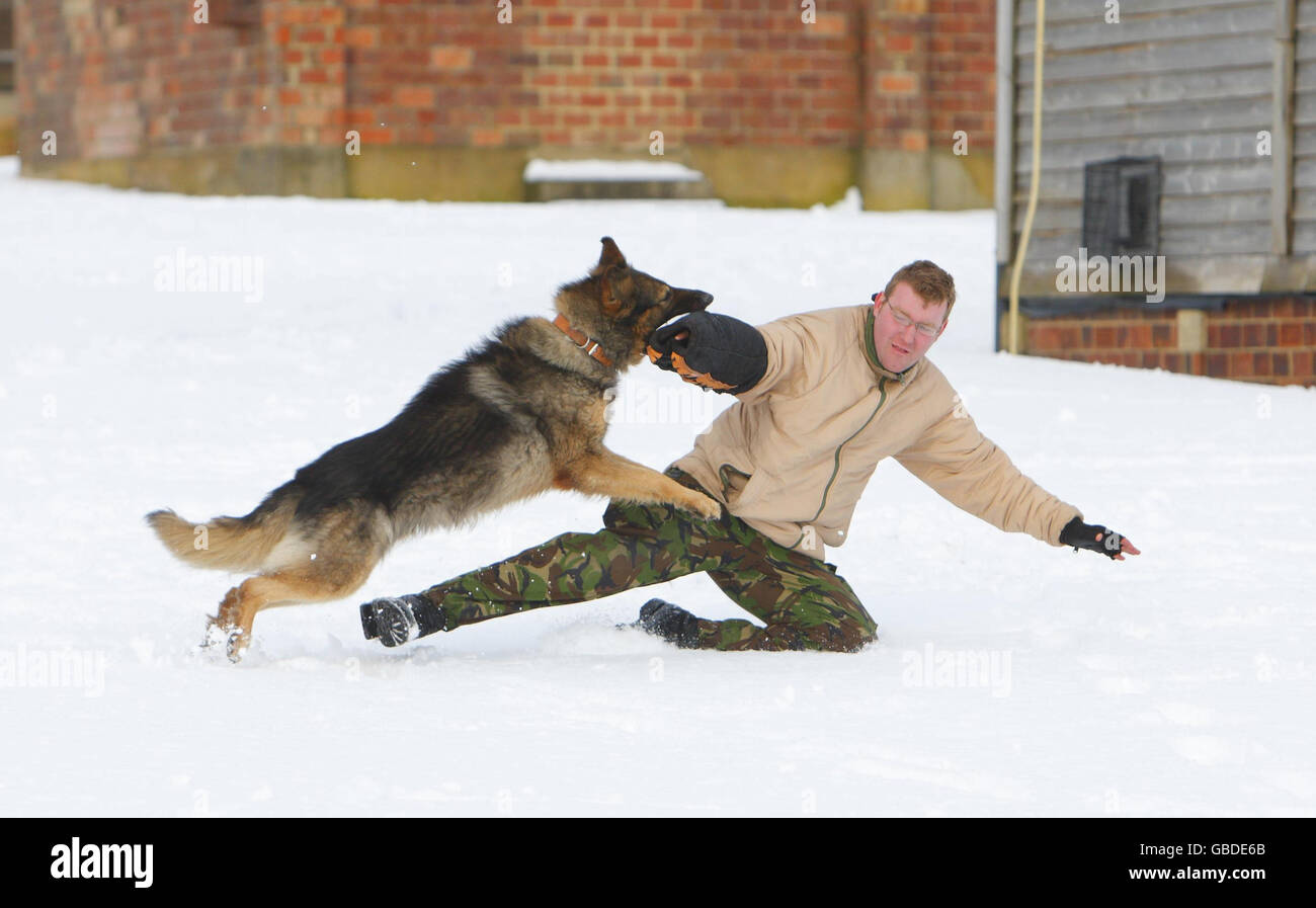 Westdown Camp on Salisbury Plain Stock Photo - Alamy