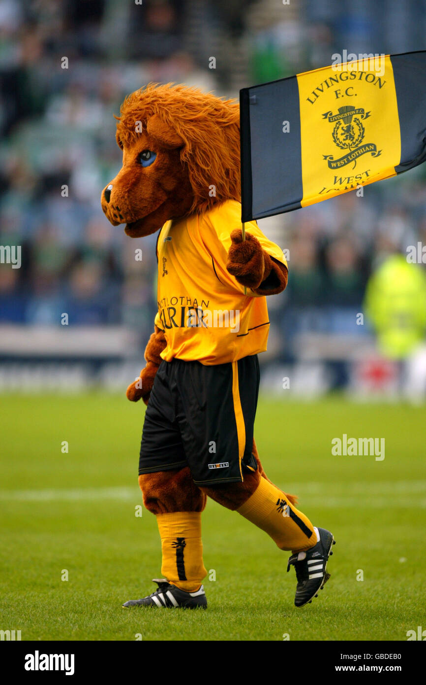 Football hibs flag hi-res stock photography and images - Alamy