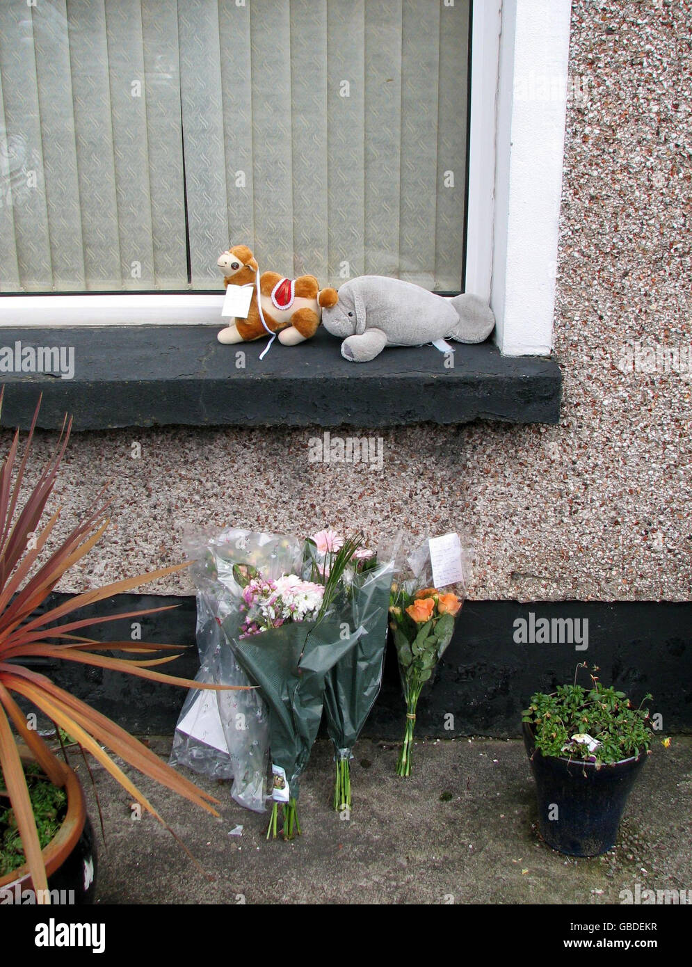 Boy mauled by dog Stock Photo - Alamy