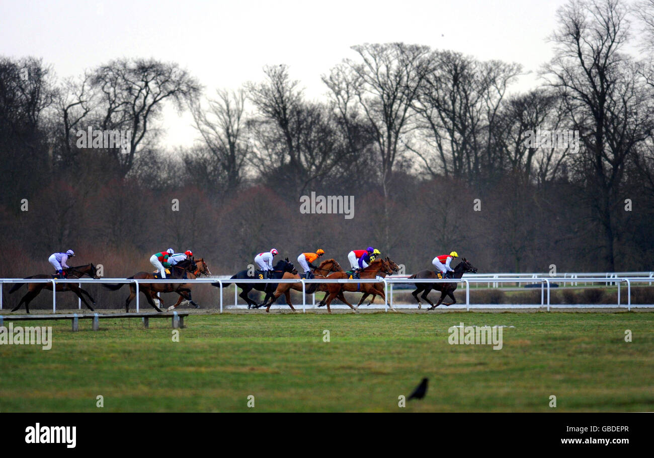 Horse Racing - Kempton Park Racecourse Stock Photo - Alamy