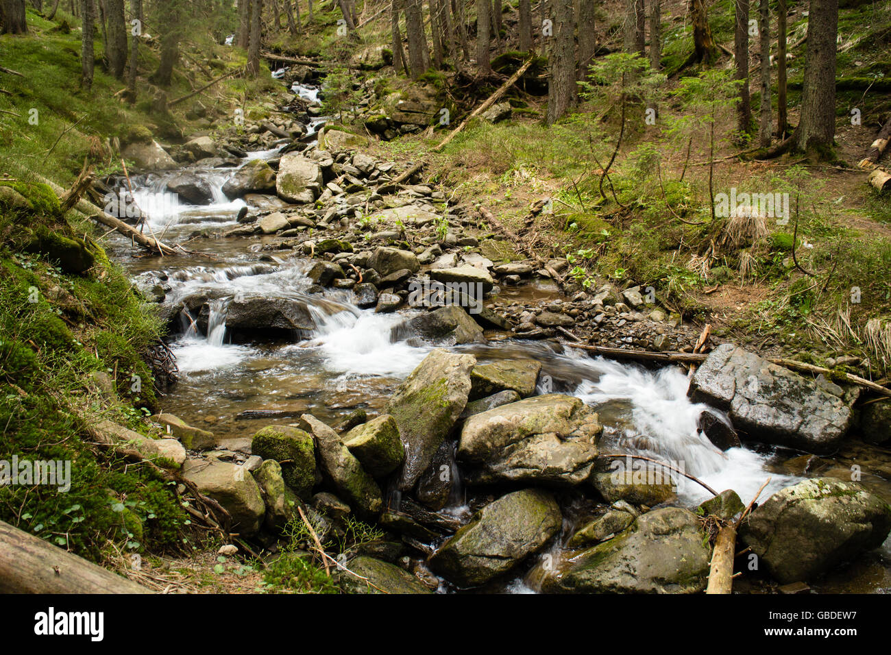 Mountain stream in forest river hi-res stock photography and images - Alamy