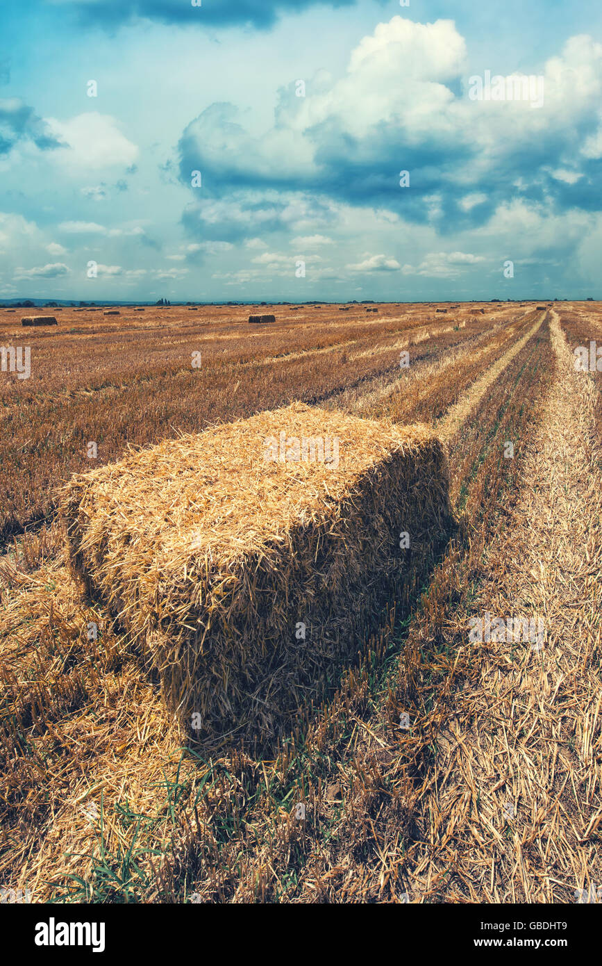 Hay and straw hi-res stock photography and images - Alamy