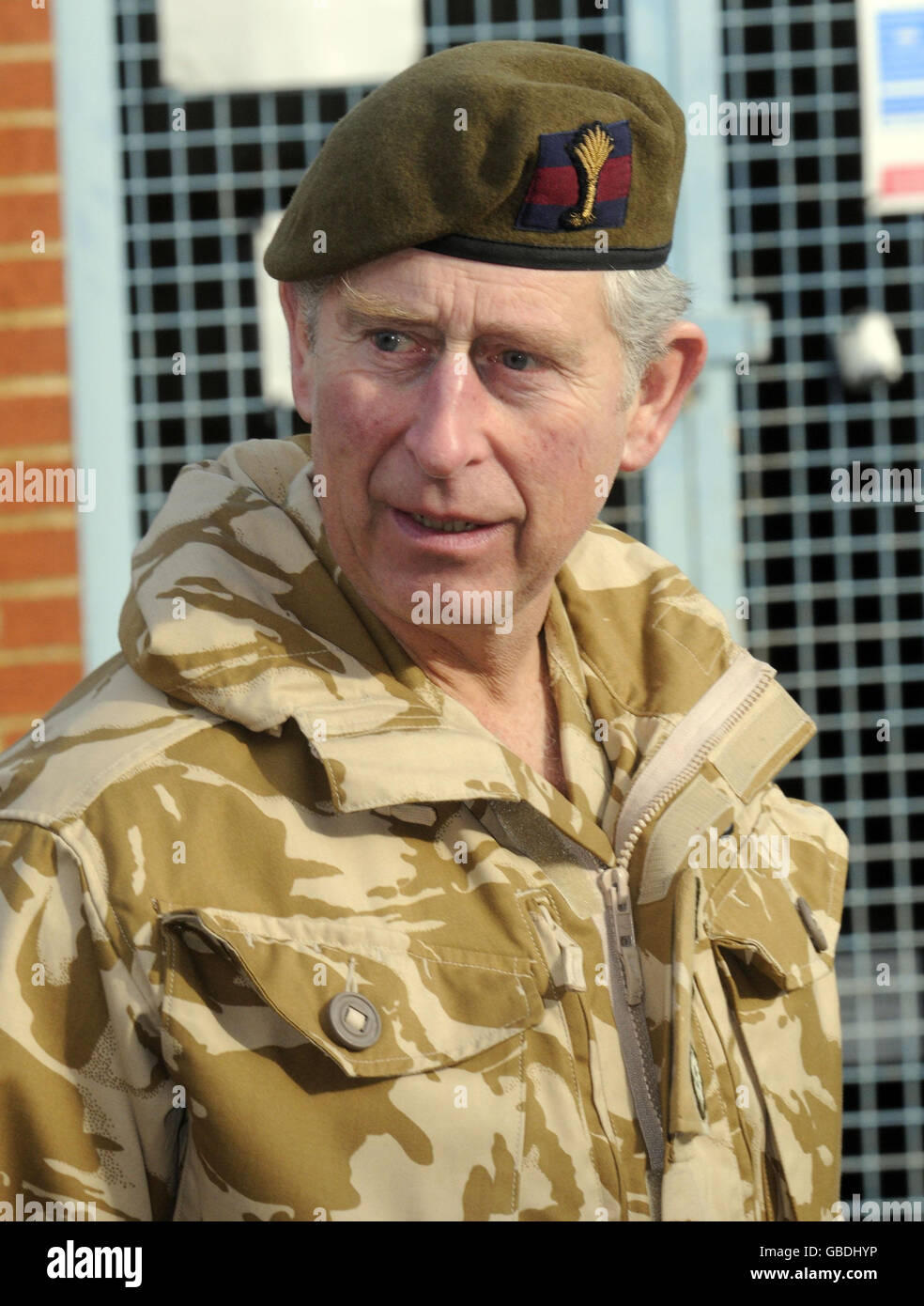 In Uniform Of The Welsh Guards Stock Photos & In Uniform Of The Welsh ...