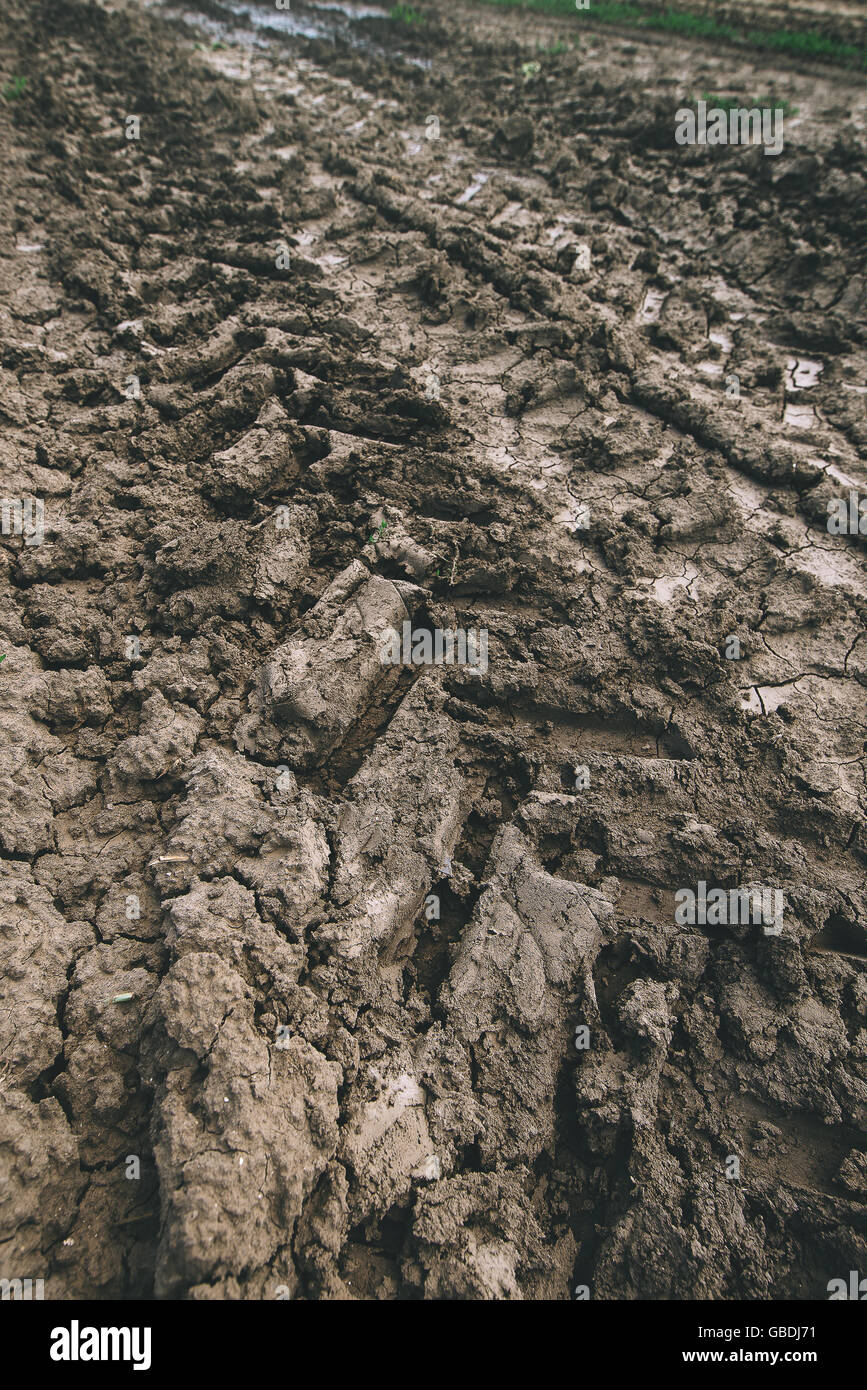 Dirt track texture hi-res stock photography and images - Alamy