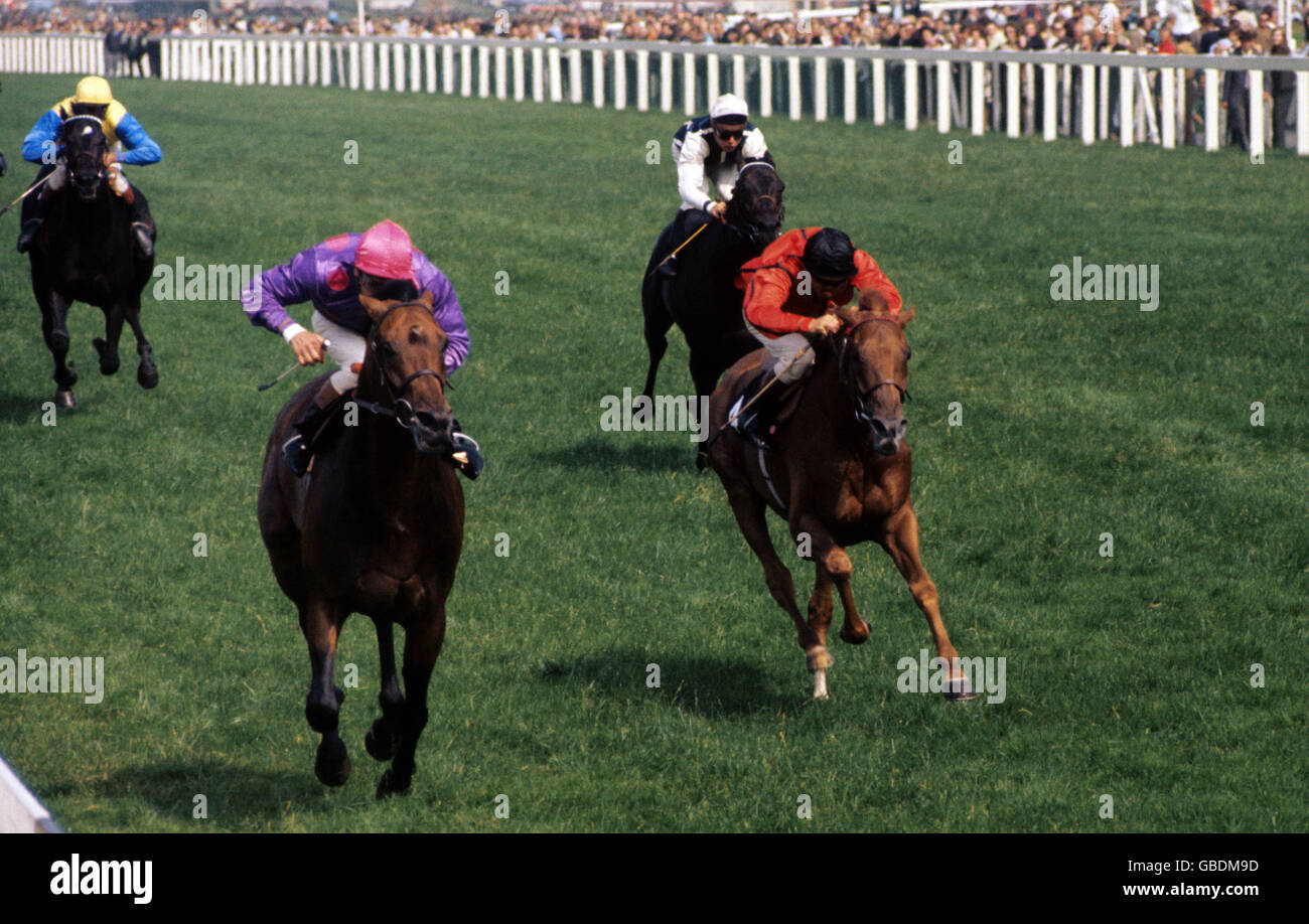 Winning the king george vi queen elizabeth from parnell right hi-res ...