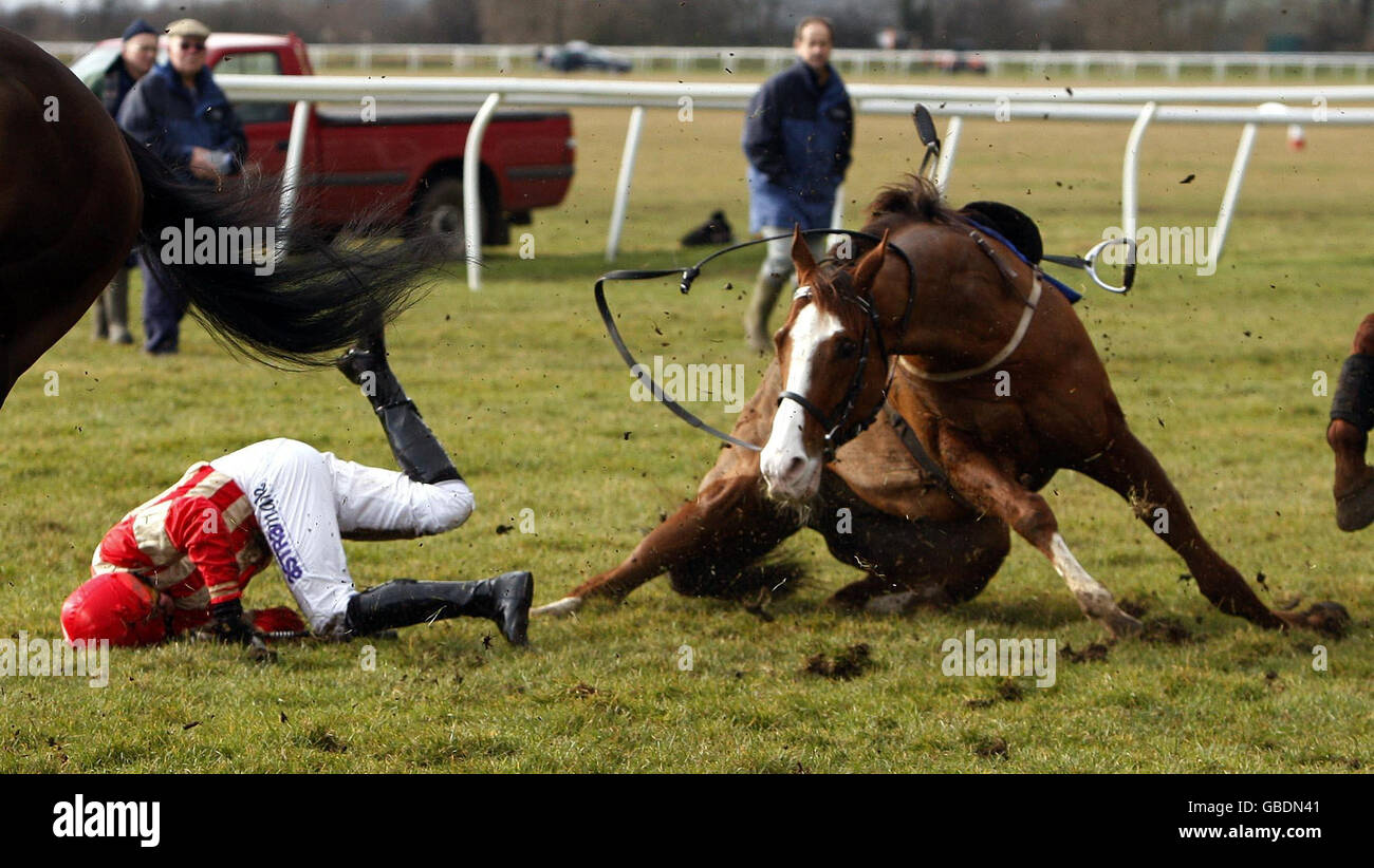 Horse Racing Accidents