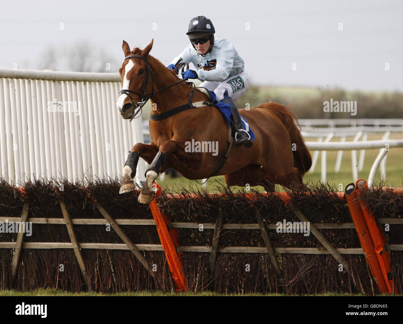 Gainsbroughs Art jockey Chris Honour go on to win the Racing Uk Novices ...