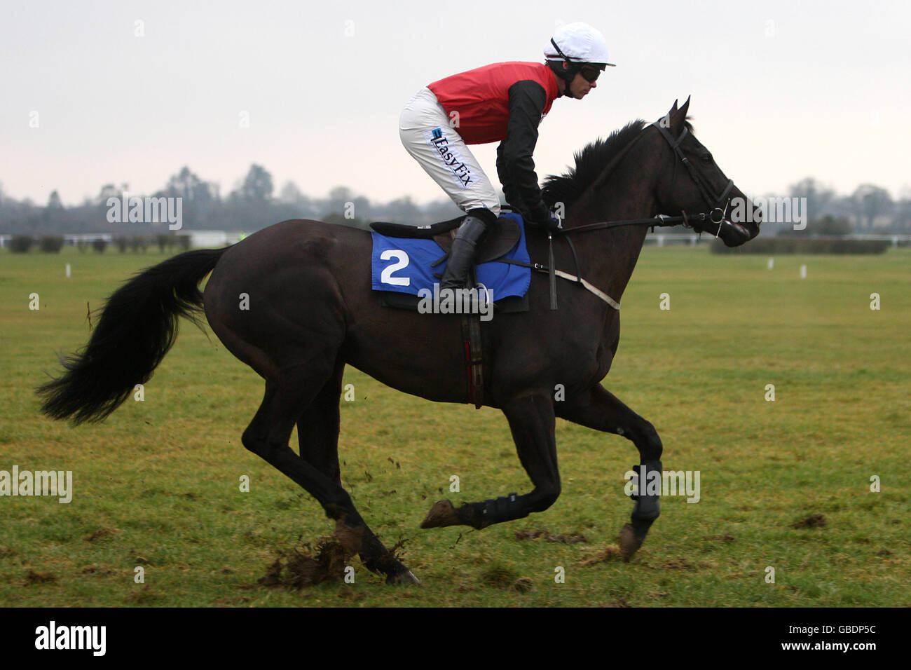 Tender falcon hi-res stock photography and images - Alamy