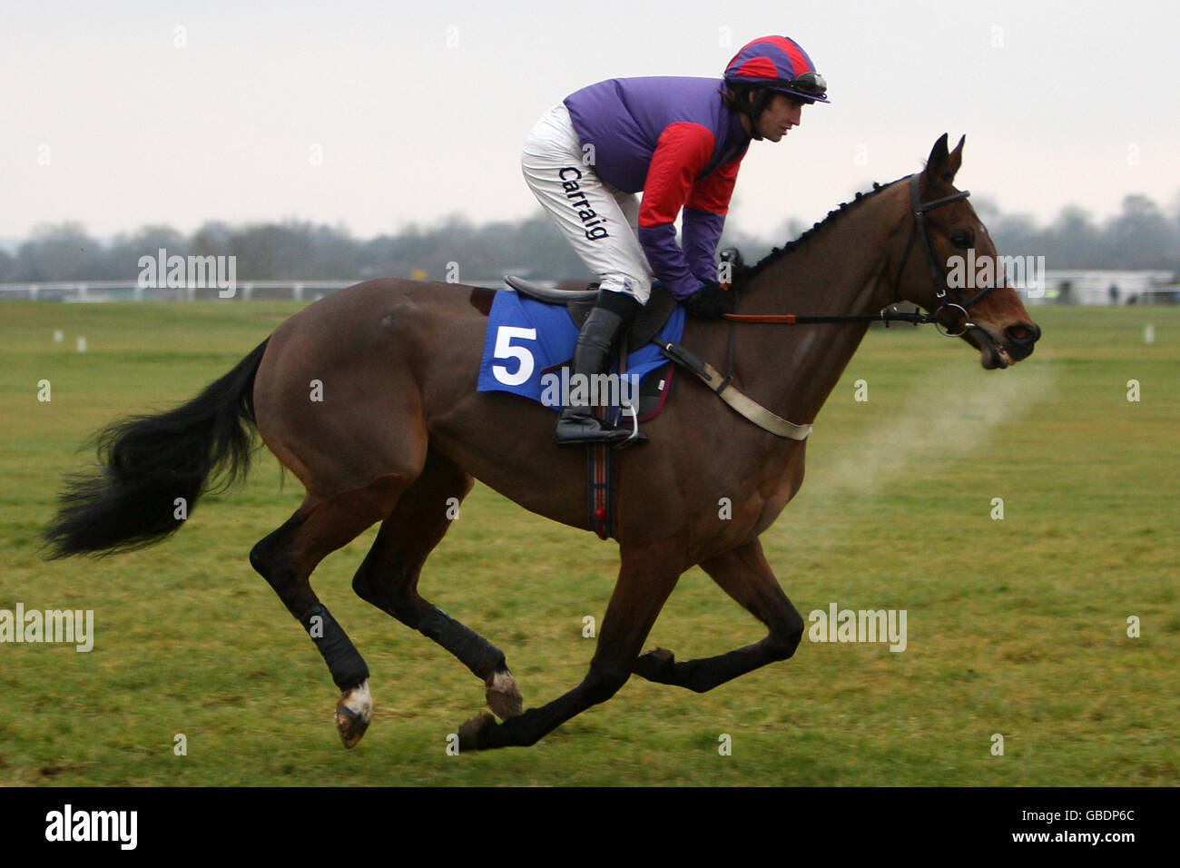 Horse Racing - Wincanton Racecourse Stock Photo - Alamy
