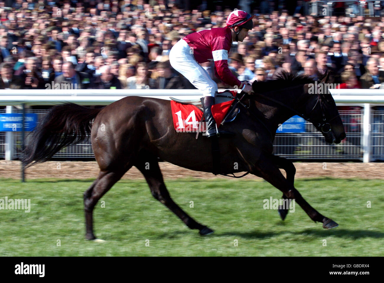 War of attrition horse hi-res stock photography and images - Alamy