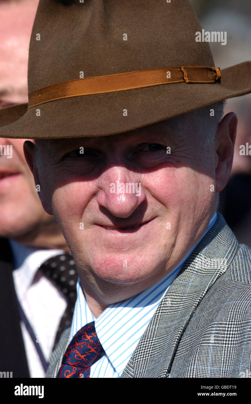 Horse Racing - Cheltenham Festival Stock Photo - Alamy