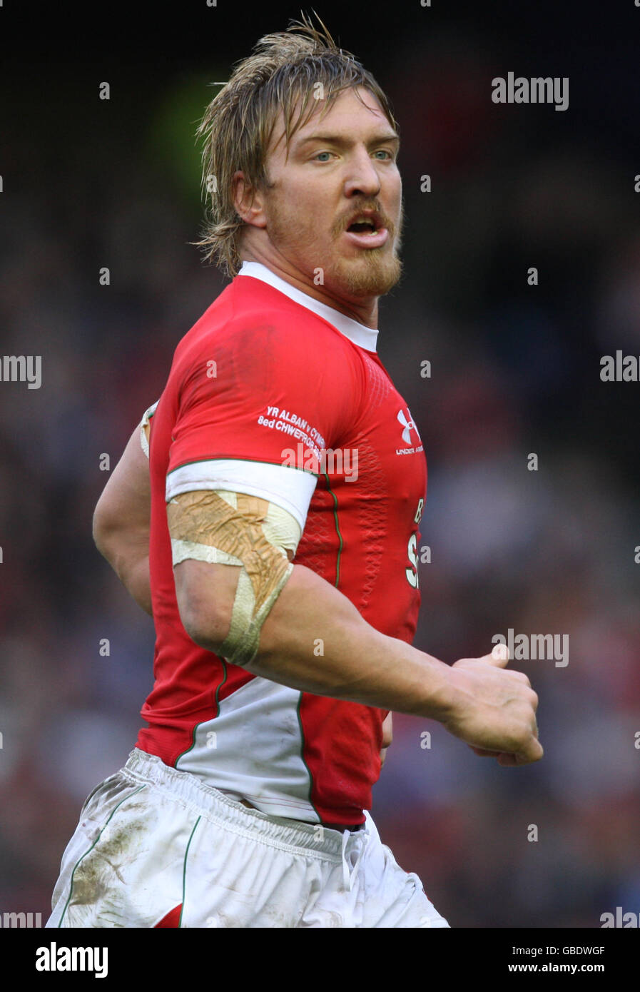 Andy powell hi-res stock photography and images - Alamy