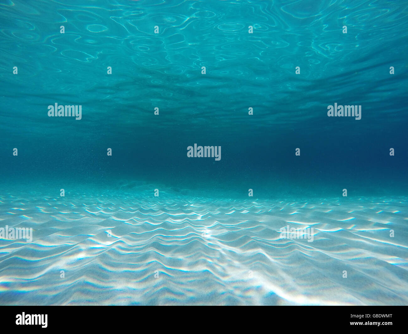 Underwater scene with hi-res stock photography and images - Alamy