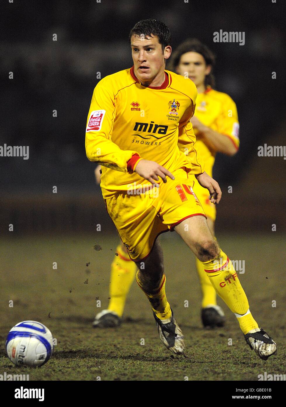 David bird hi-res stock photography and images - Alamy