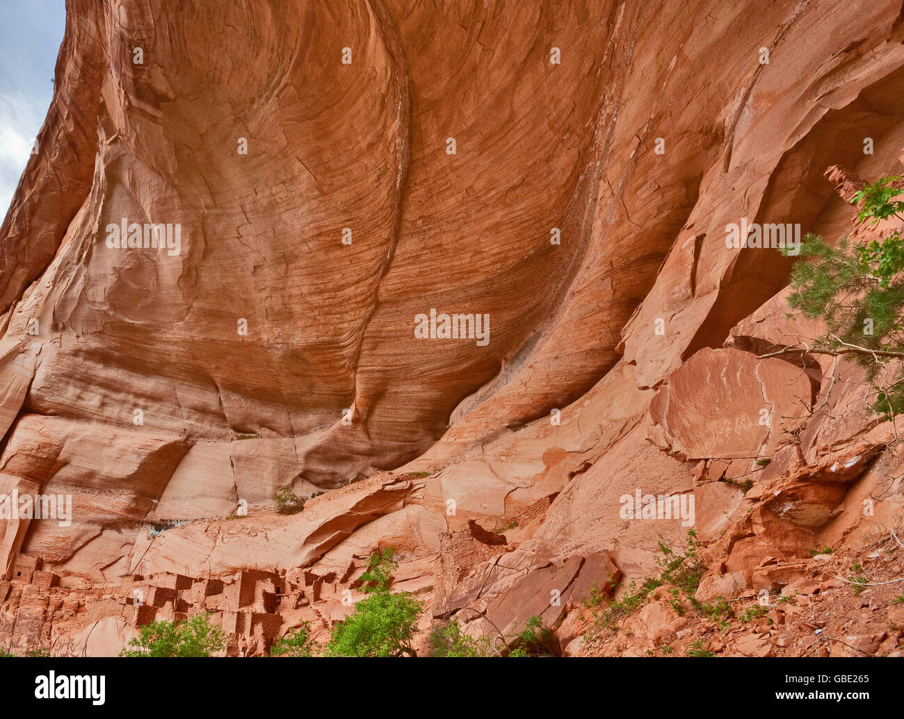 Betatakin ruin in Tsegi Canyon, Navajo National Monument, Shonto ...