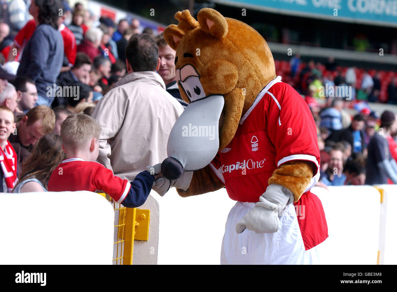 Nottingham Forest Mascot High Resolution Stock Photography and Images ...