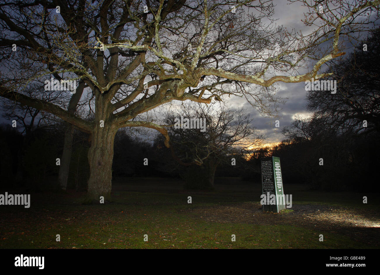 Buildings and Landmarks - New Forest Stock Photo - Alamy