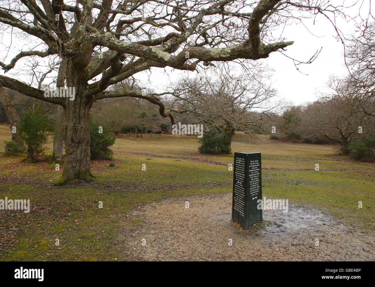 Rufus stone in the new forest near brook hi-res stock photography and ...
