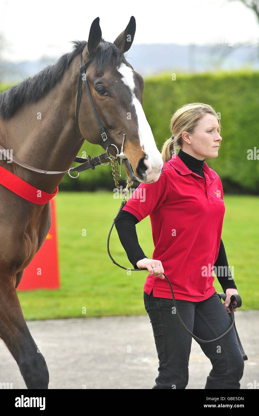 Horse Racing - David Pipe Stable Visit Stock Photo - Alamy
