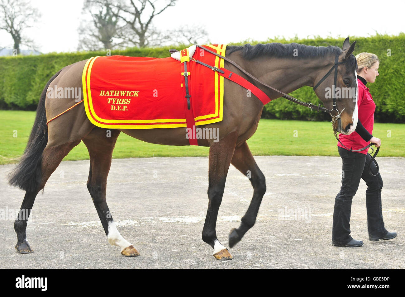 Horse Racing - David Pipe Stable Visit Stock Photo - Alamy