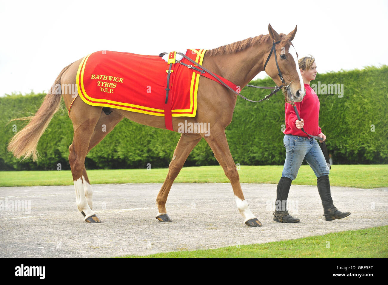 Horse Racing - David Pipe Stable Visit Stock Photo - Alamy