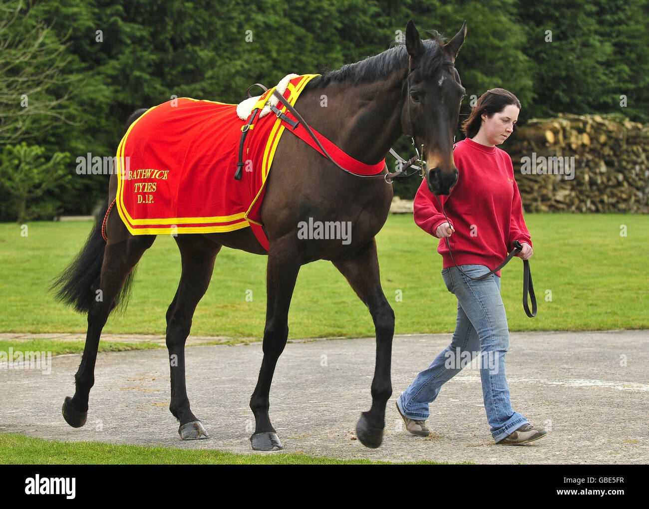 Horse Racing - David Pipe Stable Visit Stock Photo - Alamy
