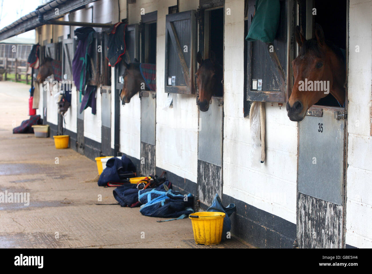 Martin pipe at his stables hi-res stock photography and images - Alamy