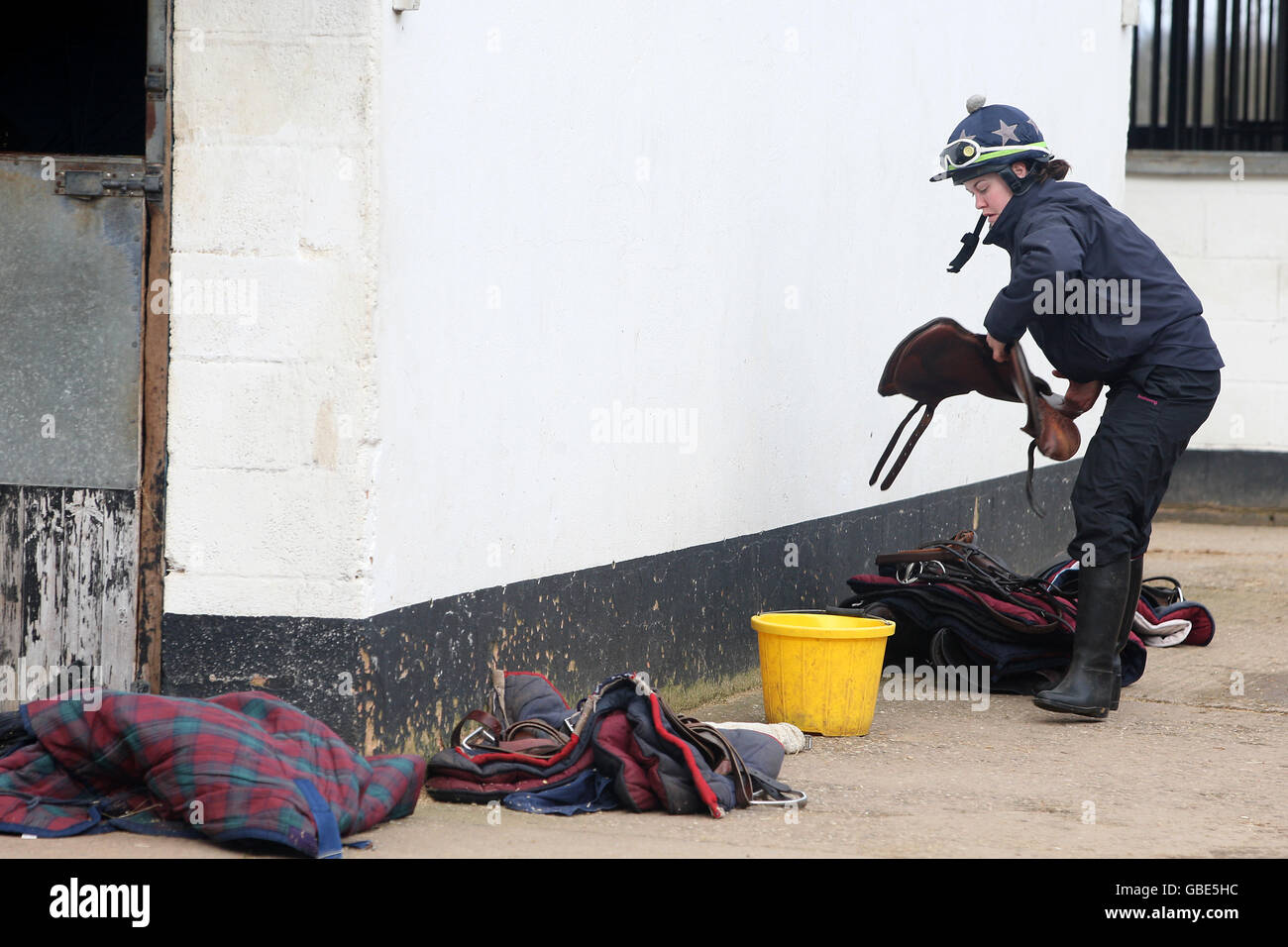 Horse Racing - David Pipe Racing Stables - Press Day Stock Photo - Alamy