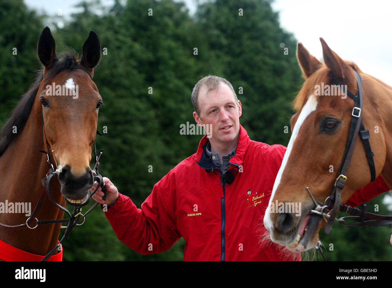 Trainer David Pipe with his horses Osana (L) and Well Chief (R) at Pond ...