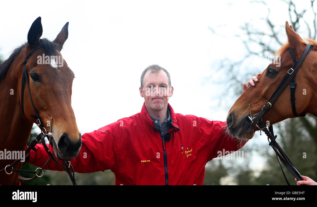 Trainer David Pipe with his horses Osana (L) and Well Chief (R) at Pond ...