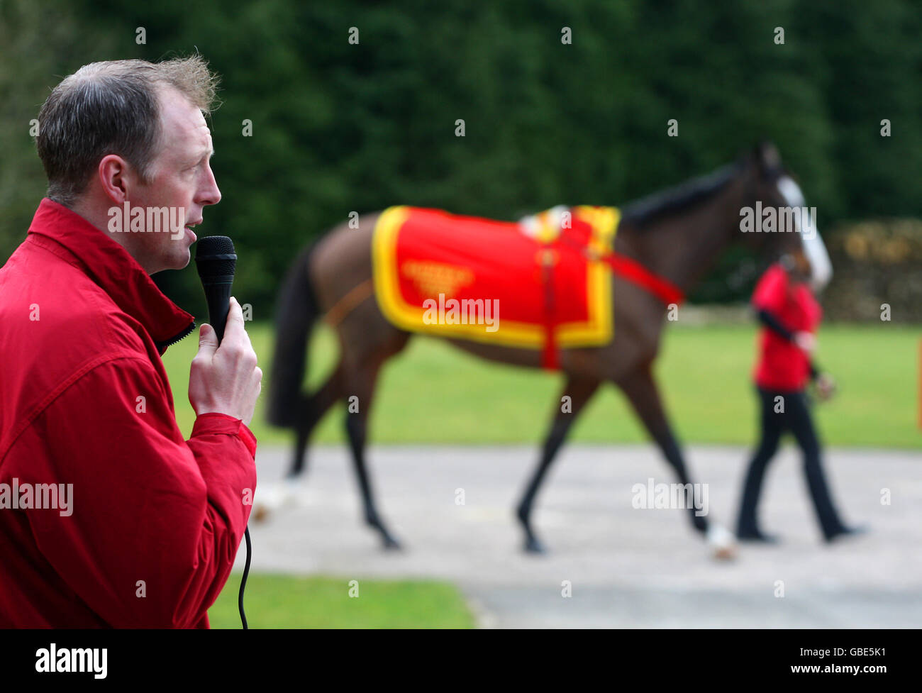 Pipe horses hi-res stock photography and images - Alamy