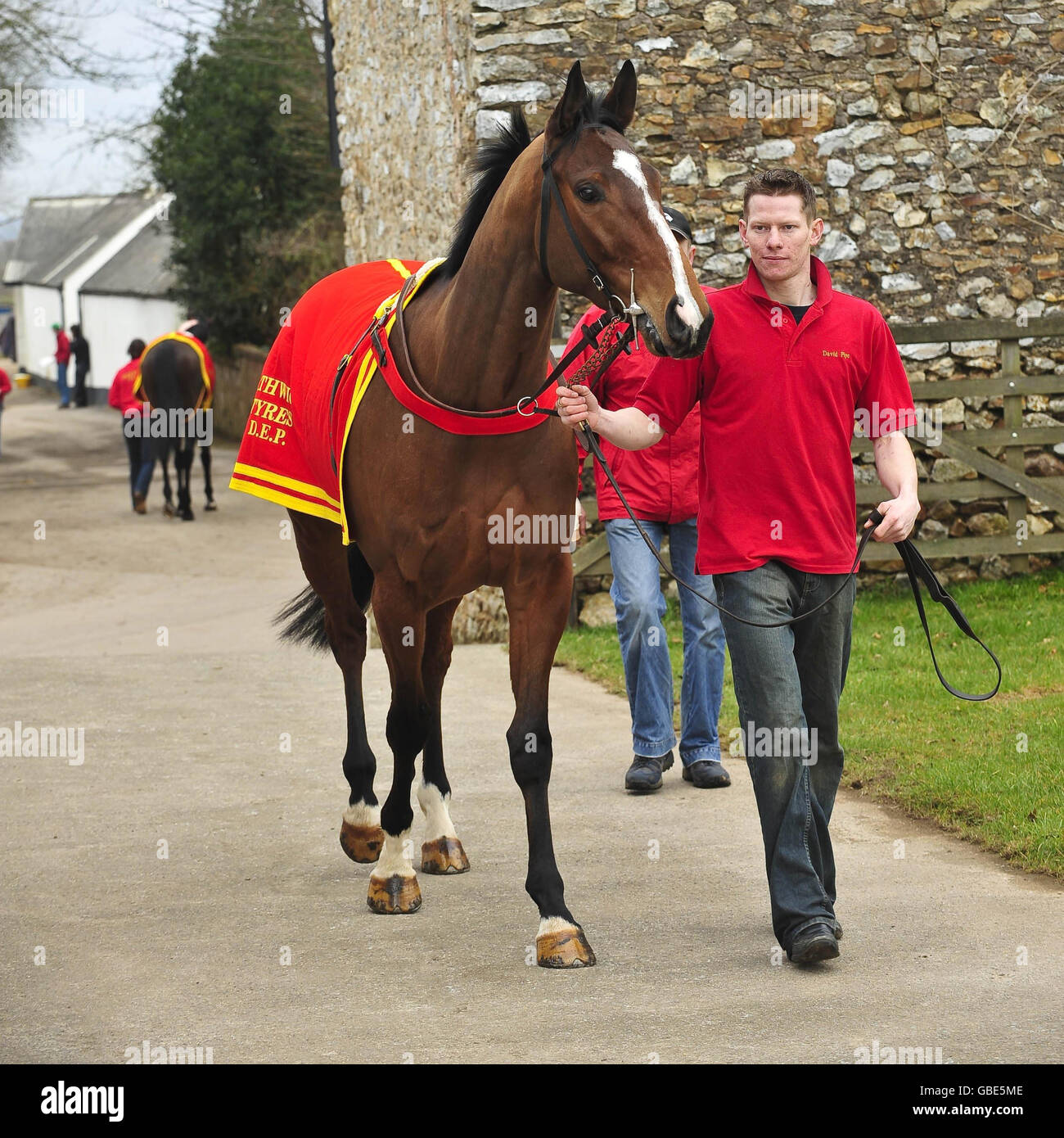 Mr Thriller is shown off during the David Pipe stable visit in ...
