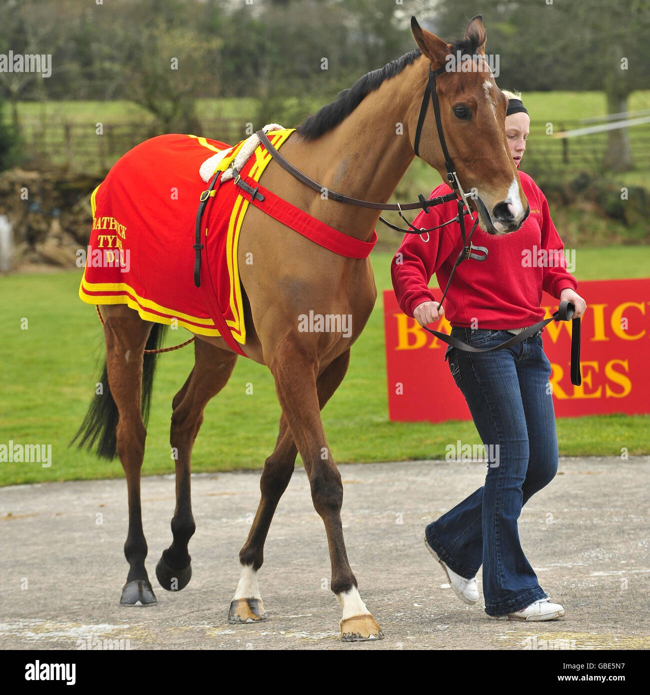Horse Racing - David Pipe Stable Visit Stock Photo - Alamy
