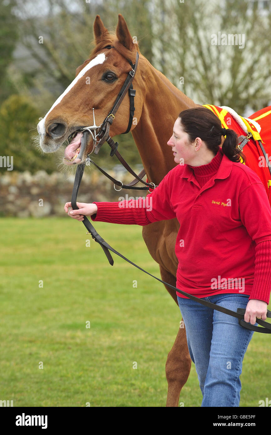 Horse racing david pipe stable visit hi-res stock photography and ...