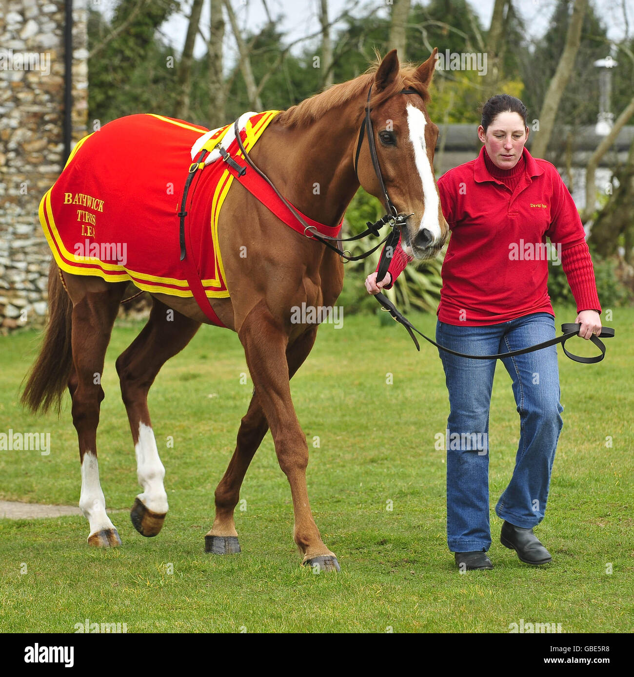 Well Chief is shown off during the David Pipe stable visit in ...