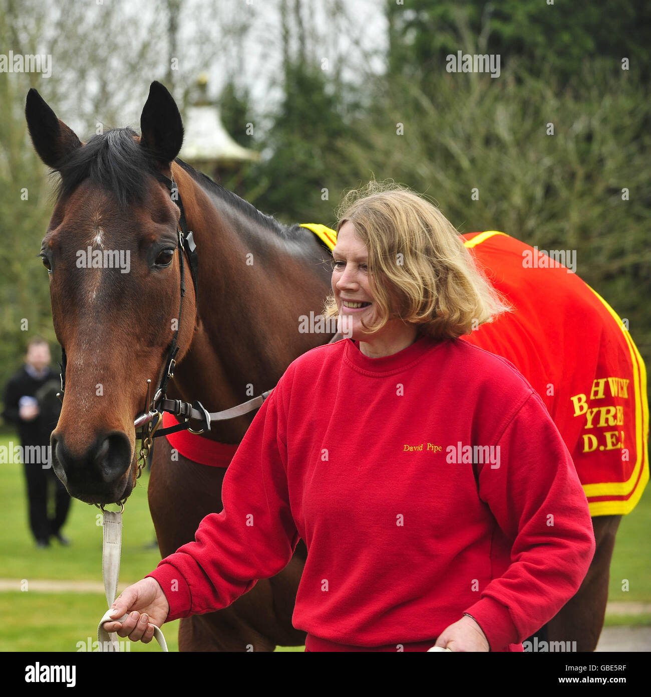 Our Vic is shown off during the David Pipe stable visit in ...