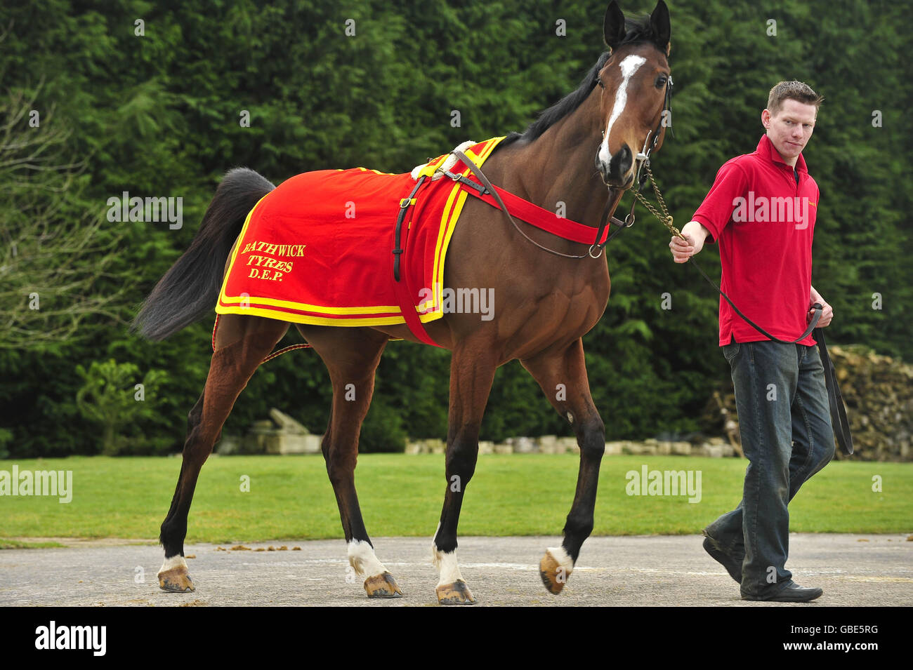 Horse Racing - David Pipe Stable Visit. Mr Thriller is shown off during ...