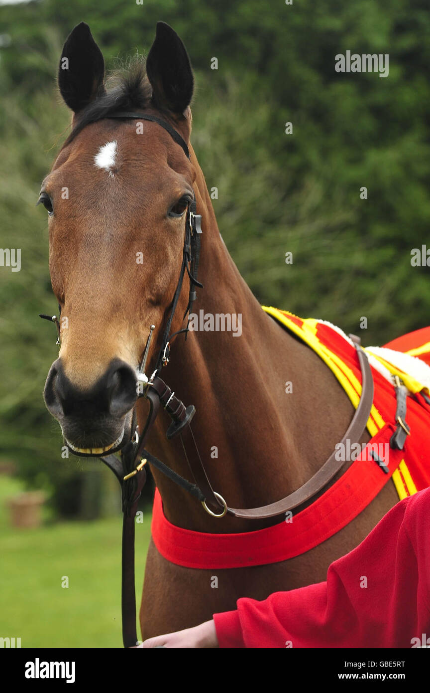 Horse Racing - David Pipe Stable Visit Stock Photo - Alamy