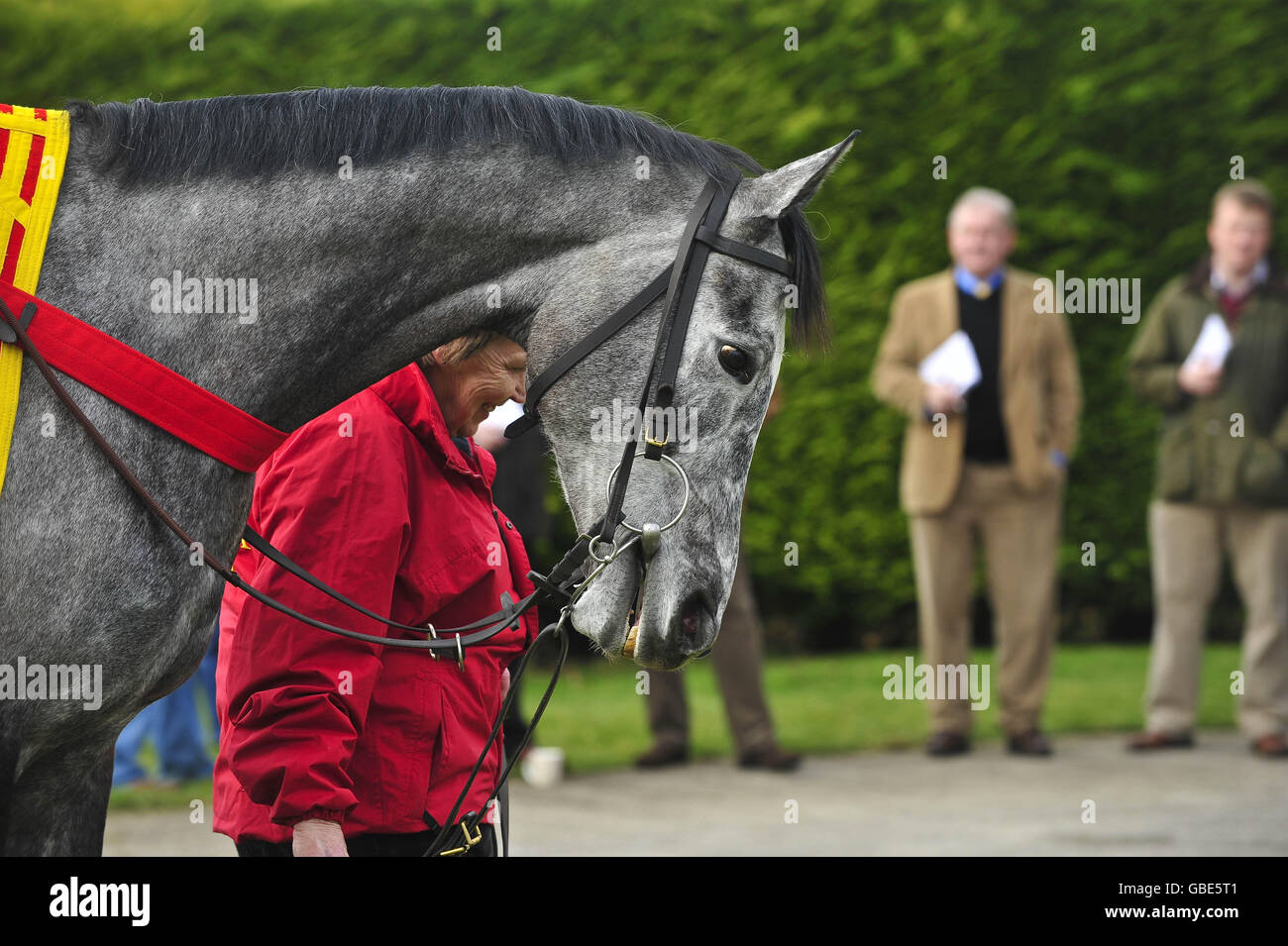 Horse Racing - David Pipe Stable Visit Stock Photo - Alamy