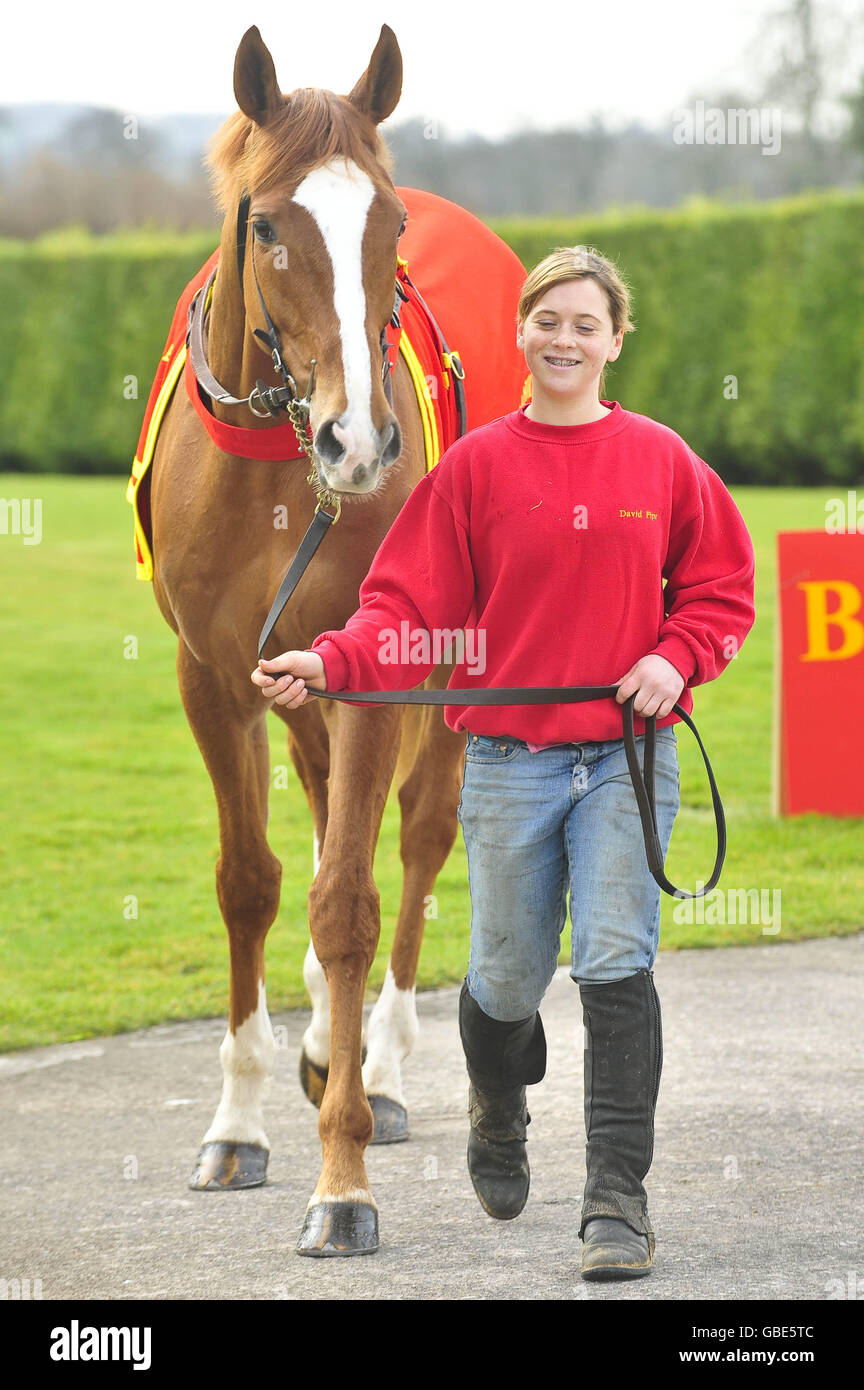 Horse Racing - David Pipe Stable Visit Stock Photo - Alamy