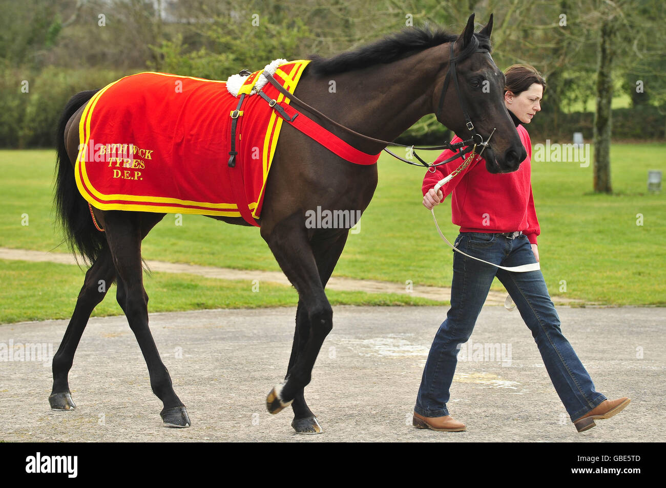 Horse Racing - David Pipe Stable Visit Stock Photo - Alamy
