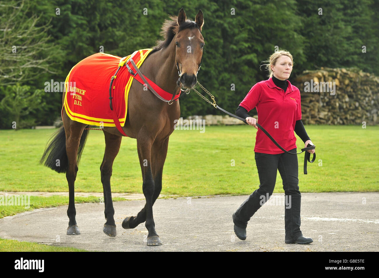 Horse racing david pipe stable visit hi-res stock photography and ...