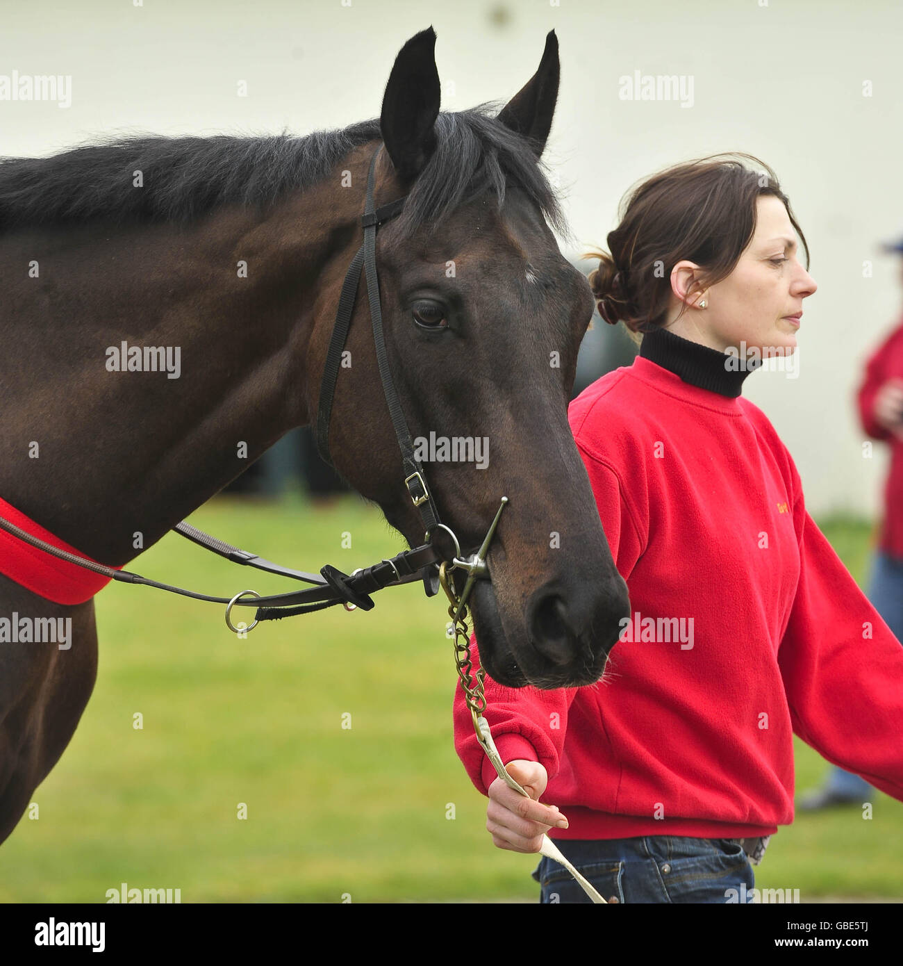 Horse Racing - David Pipe Stable Visit Stock Photo - Alamy