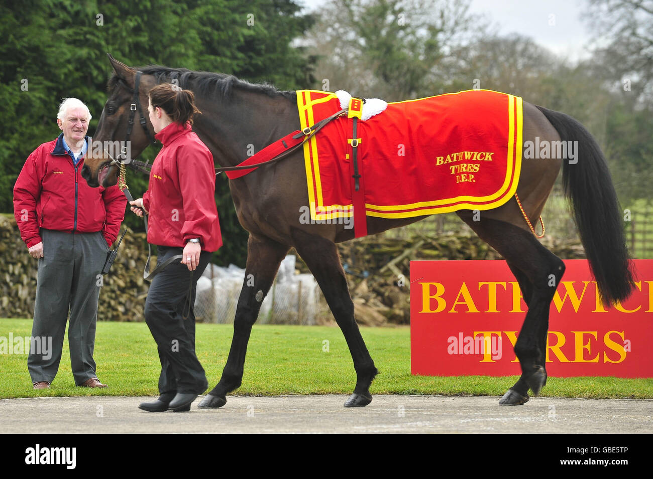 Horse Racing - David Pipe Stable Visit Stock Photo - Alamy