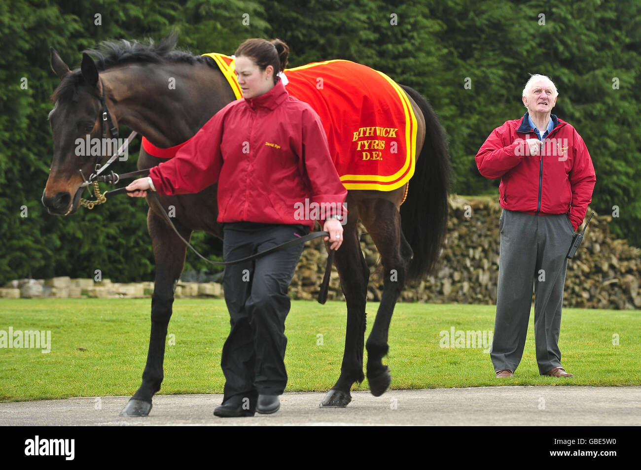 Horse Racing - David Pipe Stable Visit Stock Photo - Alamy